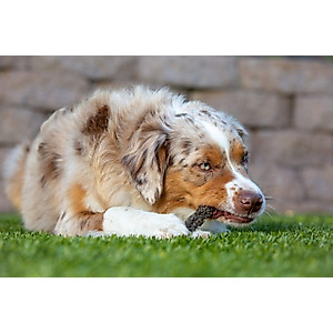 Scout & Zoe's Lamb Green Tripe Dog Treats - All-Natural, Omega-3 Boosting and Digestive-Enzyme Rich Green Tripe for Dogs Dental Health & Immune Support - Made in The USA, 3oz.