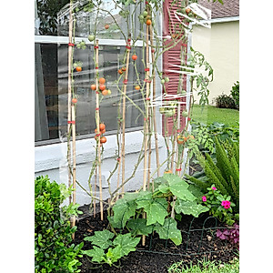 LAMINET Heavy Duty Clear Plastic- 10 Ft. of Glass Clear Plastic Vinyl Protective sheeting for Home, Office, Furniture, Boat, Porch, patios, Greenhouse, DIY and Crafts. 36" X 20', 9 Gauge outdoors!