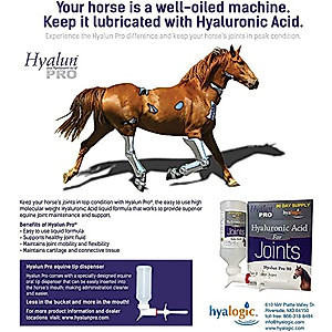 Hyalogic Hyaluronic Acid for Horses 90 Day Supply - 9oz - Easy Oral Tip Dispenser - Liquid HA Supplement for Equine Joints and Cartilage Support - Hyalun Pro - 9 oz / 296ml