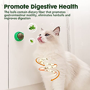 Potaroma Catnip Toys Balls 4 Pcs, Extra Cat Energy Ball, Edible Kitten Silvervine Toys for Cats Lick, Healthy Kitty Teeth Cleaning Dental Chew Toys, Cat Wall Treats (Green)