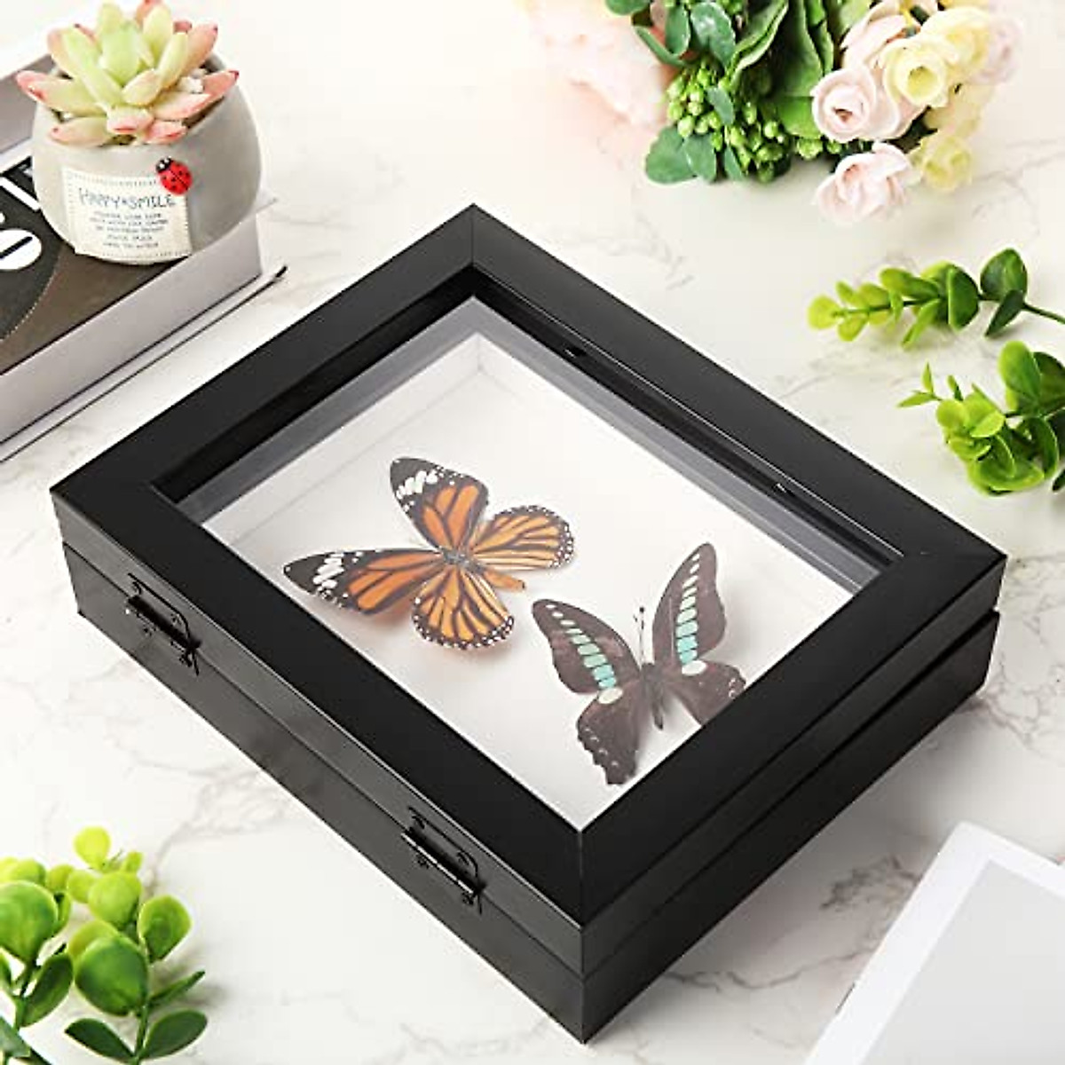 2 Pcs Insect Display Case Collection Shadow Boxes Butterfly Box with Clear Top EVA Foam Pinning Board and 300 Pcs 3 Sizes Insect Pins Insect Pinning Kit for Specimen, 7.87 x 6.3 x 2.05 Inch (Black)