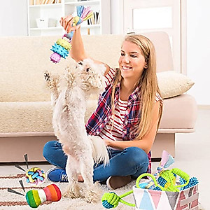 BENSEAO Puppy Chew Toys - Teething Ring & Rope Toy for Small Dogs, Interactive Dog Balls, Storage Basket (B)