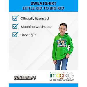 Minecraft Mobs Alex Steve Little Boys Fleece Pullover Hoodie Light Gray 6