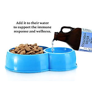 Optimum You Colloidal Silver Liquid for Pets, Dogs, Cats | 500 ppm, Extra Strength (8 oz) | Spray & Drops | Hot Spot & Itch Relief | Wound Care | Immune Support