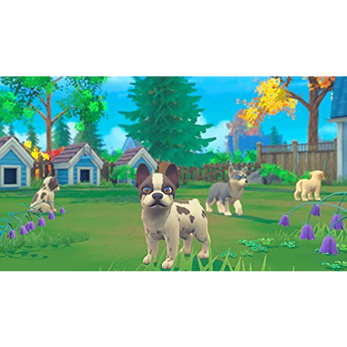 My Universe: Puppies and Kittens Nintendo Switch