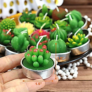 GIFTEXPRESS 18 Pcs Succulent Cactus Candles No Repeat Style, Delicate Smokeless Scented Tealight Candles for Home Décor, SPA, Wedding, Valentine's Day, Birthday Gift, Anniversary Celebration