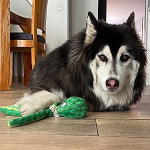 PLEACCOM Dog Squeaky Toys Octopus, No Stuffing Crinkle Plush Dog Toys for Puppy Teething, Durable Interactive Dog Chew Toys for Small to Medium Dogs Training and Reduce Boredom (2 Pack)