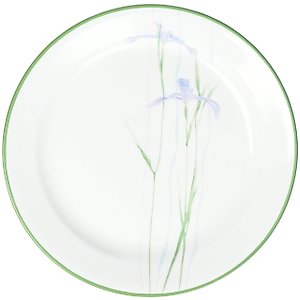Impressions Shadow Iris 9" Plate [Set of 6]