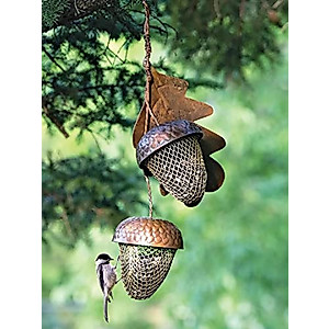 Gardener's Supply Company Acorn Bird Feeder | Sturdy Squirrel Proof Outdoor Garden Hanging Wild Bird Feeders | 2 Acorn Feeder, Metal Leaf & Hanger - Holds 2 Cups of Seed
