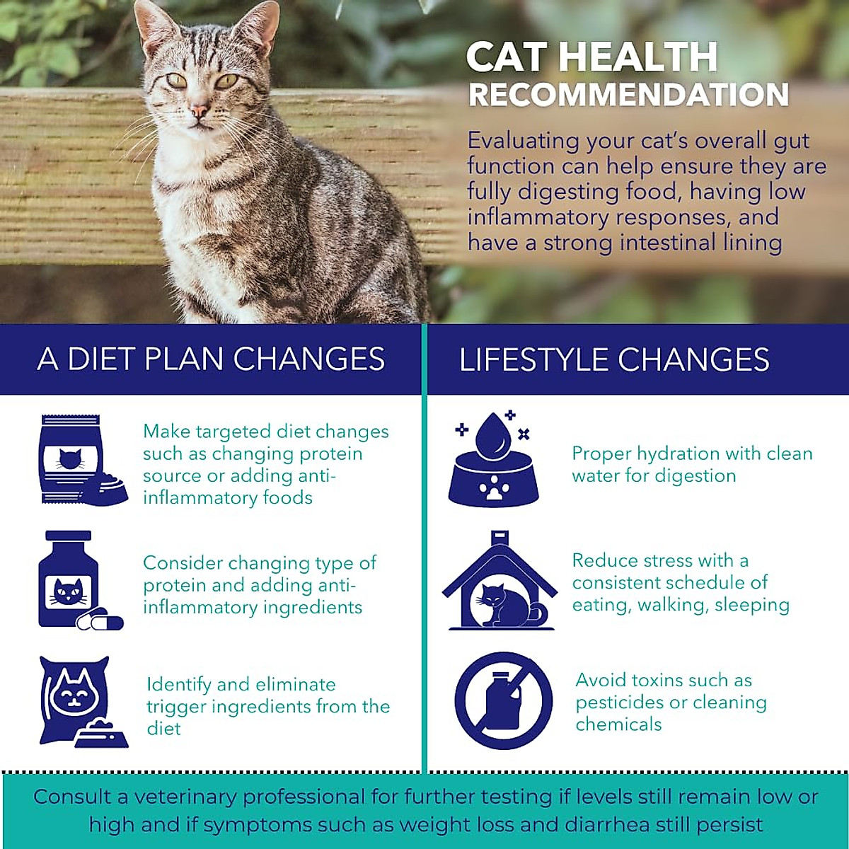 Innovative Pet Lab Comprehensive Gut Health Test Kit for Cats - at-Home Cat Stool Test for Immune & Gluten Sensitivity Symptoms Like Diarrhea, Vomiting, Itchy Skin - Easy Non-Invasive Testing Kit