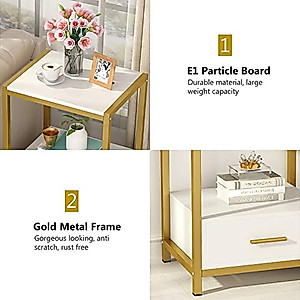 Tribesigns 25 inch Tall Gold Nightstands with Drawers and Storage Shelf, Modern Bedside Table End Table Side Table for Bedroom, Living Room (1 pc, Gold and White)