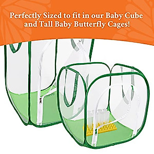 Monarch Butterfly Life Soft Silicone Small Poo Poo Platter | 14”L x 14”W x .5”H | Fitted Caterpillar Cage Liner | Easy Cleaning Tray for Baby Cube and Tall Baby Butterfly Habitat