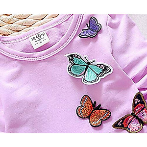 Spring Autumn Infant Little Baby Girls Clothing Set 2 Pieces Set Long Sleeve T Shirt and Skirt Pants for Children Kids Gilrs Toddler Baby (6-12m, Purple)