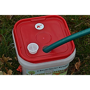 RentACoop 2 Gallon Chicken BPA-Free Plastic Bucket Waterer Set with 4 Horizontal Nipples - Center Placement