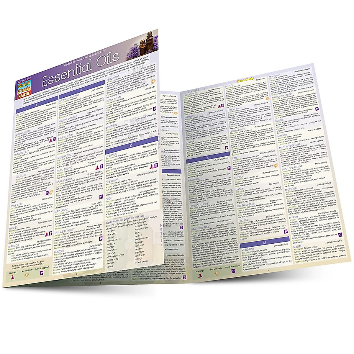 Essential Oils QuickStudy Laminated Reference Guide (Quick Study Health)