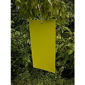 10 Pack 6"x 12" Yellow Sticky Traps for White Flies, Aphids, Gnats & Leaf Miners
