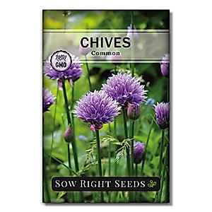Sow Right Seeds - Chives Seed for Planting - Non-GMO Heirloom; Instructions to Plant and Grow Kitchen Herb Garden, Indoor or Outdoor; Great Garden Gift (1)