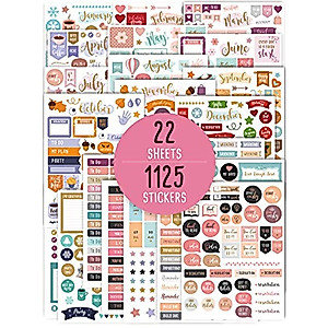 Aesthetic Monthly Planner Stickers - 1100+ Beautiful Design Accessories Enhance and Simplify Your Planner, Journal and Calendar