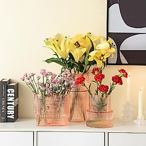 YANWE1 Ribbed Glass Vase, Pink Glass Vase, Flower Vase, Fluted Glass Vase, Ribbed Flower Vase, Clear Vase, Modern Vase for Living Room, Dining Room, Bathroom, Desk, Shelf, Wedding, Office, 7.1 Inches