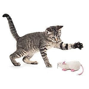 SmartyKat Rat Pack Kicker Plush Catnip Cat Toy - Randomly Selected Color, Jumbo