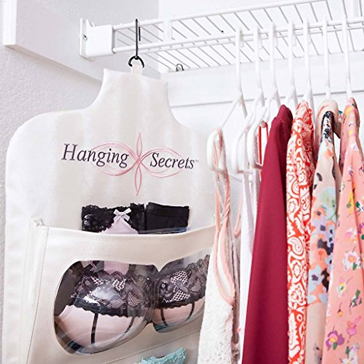 Hanging Secrets Bra Organizer & Lingerie Organizer Hanger + Protect + Showcase Your Bras with See-Thru Molded Bra Compartments Organizer Hangs Inside Closet or Over Door [White]