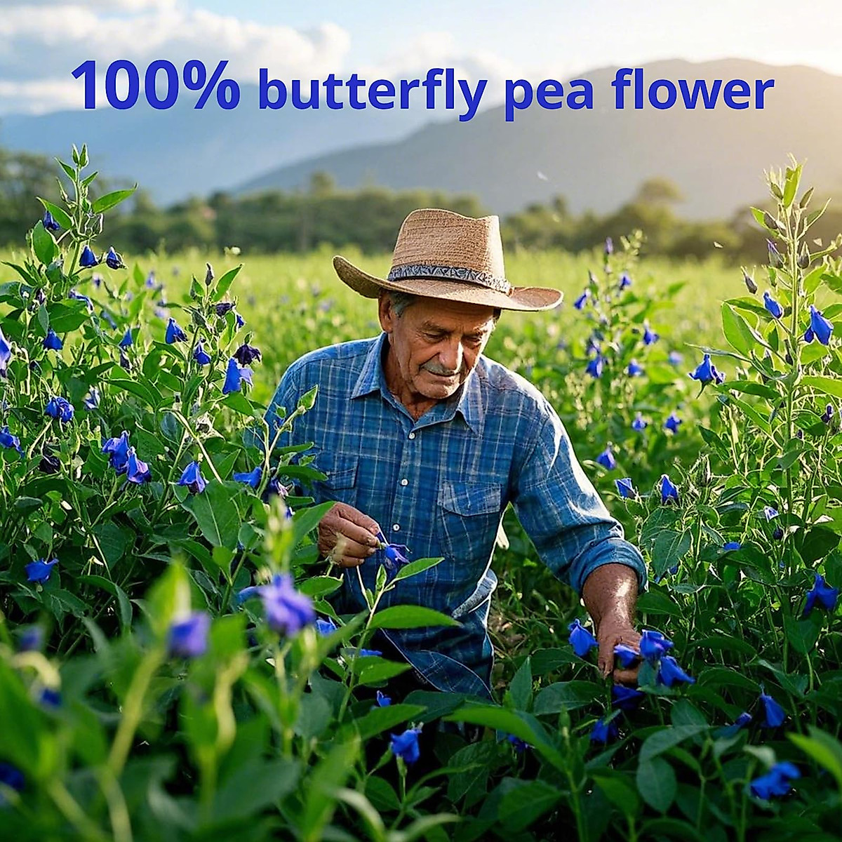 Butterfly Pea Flower Powder 4oz | Natural Blue Food Coloring for Drinks, Baking, Smoothies | Vegan, Non-GMO, Gluten-Free, No Additives