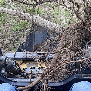 Titan Attachments Extreme Duty Stump Bucket Tree Spade Scoop Digger, Universal Skid Steer Quick Tach, HD Serrated Leading Edge, Ideal for Ripping Roots & Removing Tree Stumps