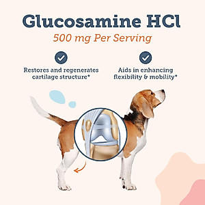 Paw Rangers Joint Chews for Pets 90Ct. - Chondroitin, Glucosamine for Dogs and Cats: Cat and Dog Vitamins: Hip and Joint Support Supplement for Dogs and Cats - Pet Supplies:Cat & Dog Joint Supplement