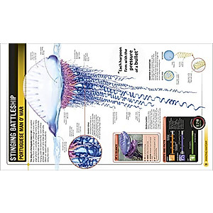 Super Shark Encyclopedia: And Other Creatures of the Deep (DK Super Nature Encyclopedias)