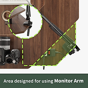 FEZIBO L Shaped Standing Desk with LED Strip & 2 Drawers, Triple Motors Supports Over 300lbs, Upper and Lower Storage Shelves Available, Electric Height Adjustable, for Home Office, Black Walnut