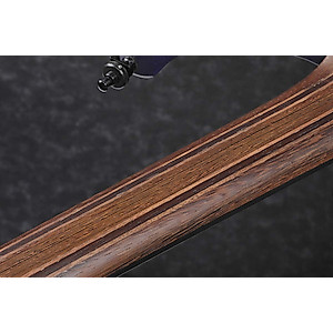 Ibanez Bass Workshop EHB1505 Bass Guitar - Dragon Eye Burst Flat