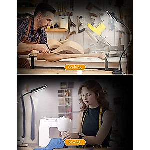 TROND Clamp Desk Lamp, Eye-Care Desk Light with USB Charging Port, 5 Color Modes 5 Level Brightness, 30-Minute Auto Timer Flexible Gooseneck Task Lamp for Sewing Reading Drawing Crafting, 11W, Black