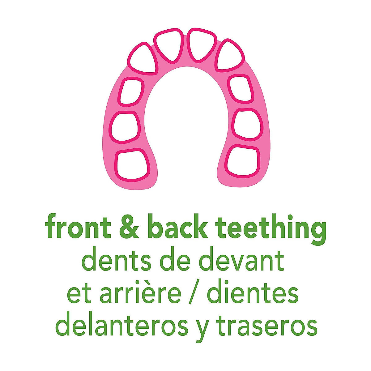 green sprouts Silicone Teethers (2 Pack) | Soothes Gums & Promotes Healthy Oral Development | Multiple Textures Massage Gums, Easy to Hold, Gum, & chew, Dishwasher Safe , Pink