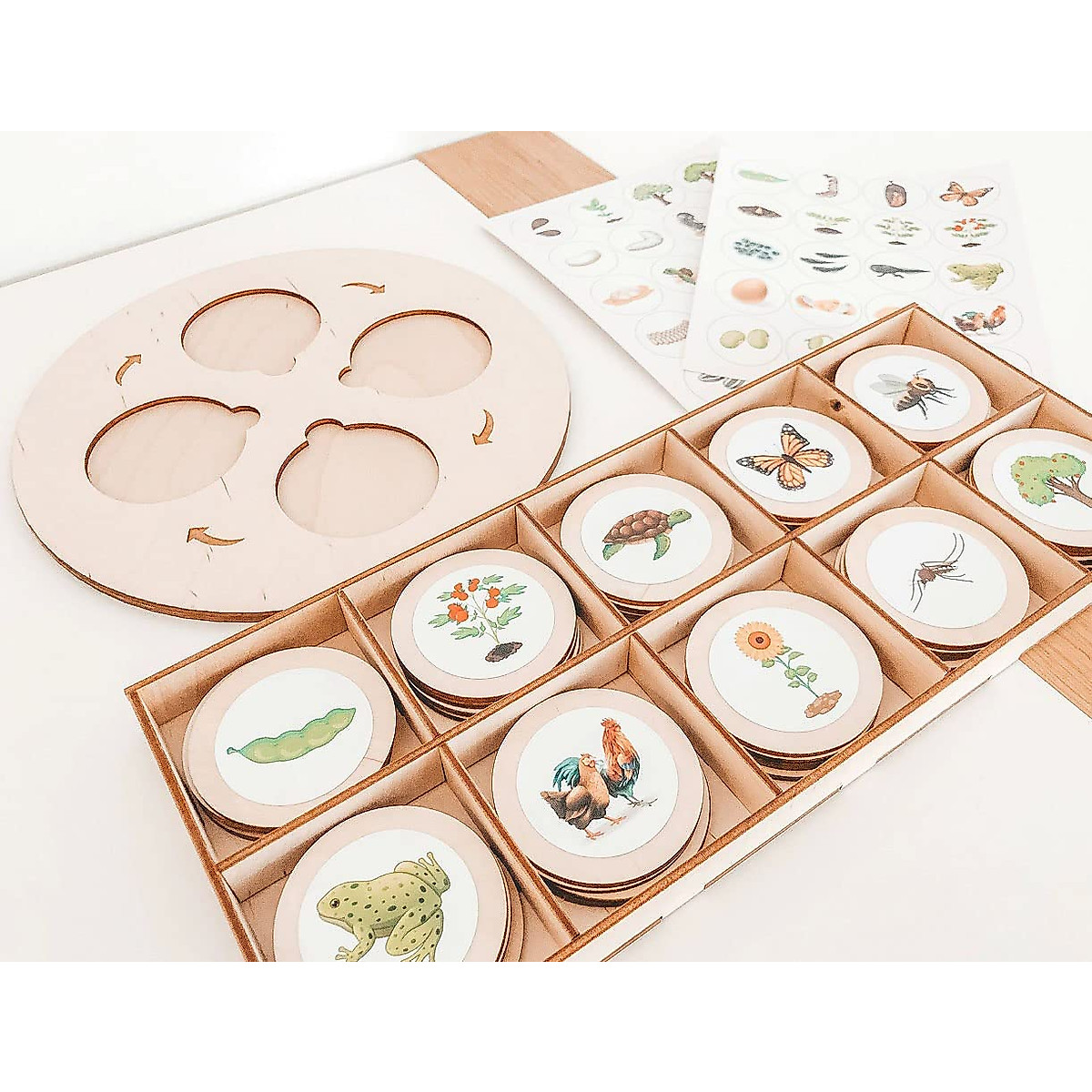 Montessori Life Cycle Puzzle Board Kit, Life Cycle Puzzle Kit of Animals, Plants and Insects, Toddler Puzzle Development Toys, Early Educational Toy for 3~6 Years Old Preschool Kids