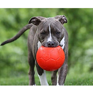Jolly Pets 8" Soccer Ball, Orange, Large/X-Large