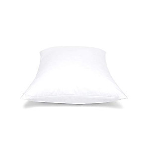 PILLOWS WITH A PURPOSE Pillow Inserts - Pack of 2-12" x 16" Rectangular Decorative Throw or Sham for Couch - Bed - Sofa