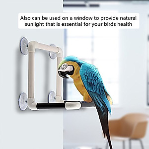 Bird Parrot Shower Perch, Portable Birds Bath Stand Toy with 4 Suction Cups, Plastic Parrot Window Shower Wall Rack Platform for Parakeet Lovebirds Macaw Cockatiel Cockatoo, White