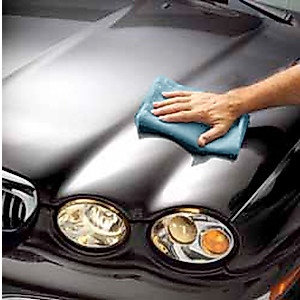 Carrand 40208 Evaporator PVA Drying Towel, 3 sq ft , Blue