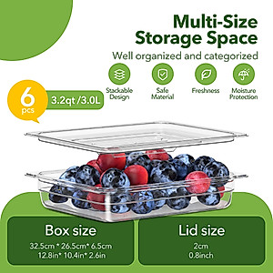 HNEDSEN 6 Pack Plastic Food Pan with Lid 1/2 Size 2.5 Inch Deep Restaurant Clear Food Storage Containers Polycarbonate Commercial Hotel Pans for Fruits Vegetables Beans Corns (6 PCS, 2.5'' Deep)