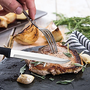 Rada Cutlery Cook’s Starter Kit 4-Piece Set – Includes Super Parer, Cook’s Knife, Cook’s Utility Knife With Black Stainless Steel Resin Knife Handles Plus Quick Edge Knife Sharpener