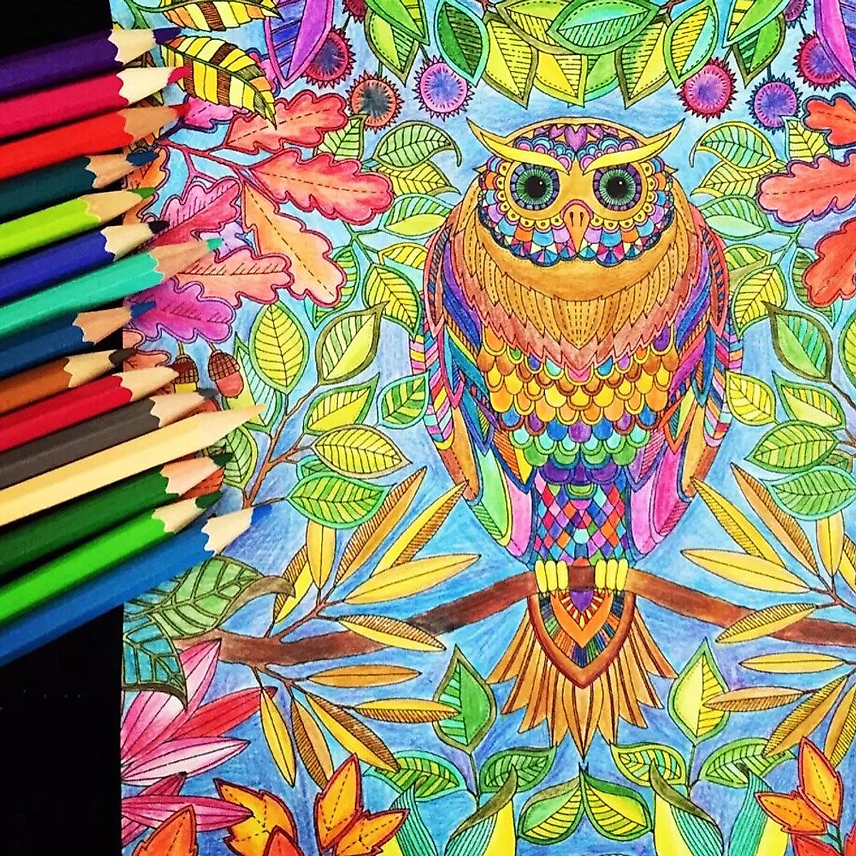 Bringsine Colored Pencils Set for Painting Drawing- 36 Colouring Pencils Leather Case Bag Coloring Book Ideal for Christmas Gifts