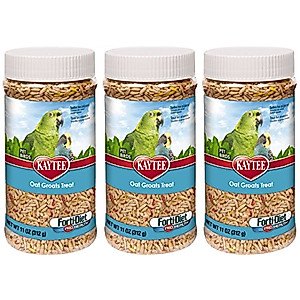 Kaytee Forti Diet Pro Health Oat Groats Treat for Pet Birds, 11-Ounces Per Pack (3 Pack)