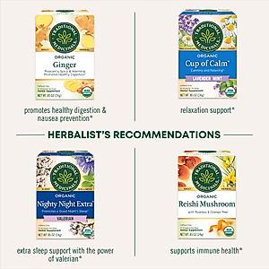 Traditional Medicinals Organic Lemon Balm Herbal Tea, Calming and Supports Digestion, (Pack of 1) - 16 Tea Bags