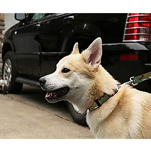 Camo Dog Collar - Camouflage Waterproof Dog Collar, Made in the USA - 1 Inch Adjusts 11.5 - 17.5 Inches, Medium, Digi Camo Blue, "1" collar med"