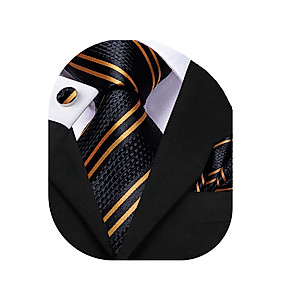 Dubulle Mens Paisely Floral Silk Tie for Men Striped Necktie and Pocket Square Set Wedding Business,Black