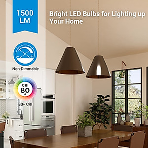 DEWENWILS 4-Pack A19 LED Light Bulb, 1500LM, 3000K Soft Warm Light Bulb, Energy Saving 14W(100W Equivalent) LED Bulb, E26 Medium Screw Base, Non Dimmable, UL Listed