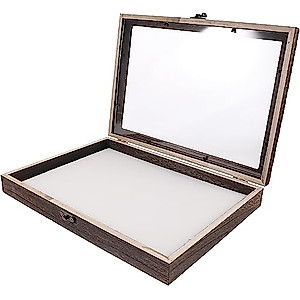 Cabilock Insect Display Case Wooden Bug Collection Box with Clear EVA Top Insect Shadow Box Insect Specimen Storage Box for Home