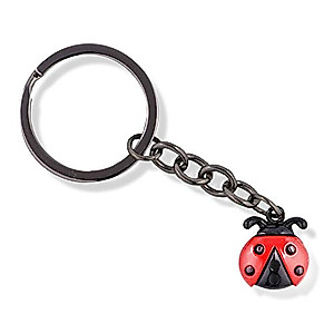 Ladybug Gifts for Women or Men - Keychain Accessories for Women or Men a Great Ladybug Gift or Ladybug Decor