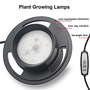 AREPK Desktop Glass Plant Terrarium with Grow Light (H:7.8" D:4"), for Succulent, Moss, Miniature Gardening Landscape, Betta Fish Tank, Indoor Plant Growth, Office Home Decoration, Plant Lovers Gifts