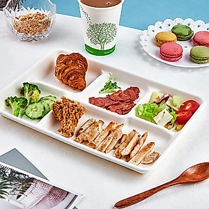 [500 Pack] 5 Compartment Trays, 100% Compostable Paper Plate tray, School Bagasse Lunch trays, Buffet, and Party, Disposable trays with 5 compartment, Biodegradable, Natural (4821011)